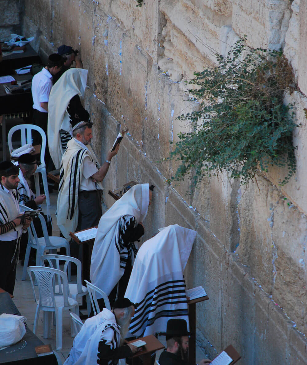 Connection to the Land | Christians United for Israel